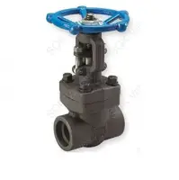 Socket Weld Gate Valve by SQK Valves Fittings & Automation Private ...