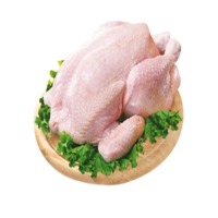 UAE Fresh Chicken Suppliers, Manufacturers, Wholesalers and Traders ...