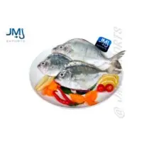 Pony Fish by JMJ Exports. Supplier from India. Product Id 607881.