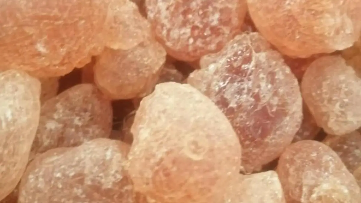 Blue Point Tradings - LLC. Supplier from United Arab Emirates. View ...