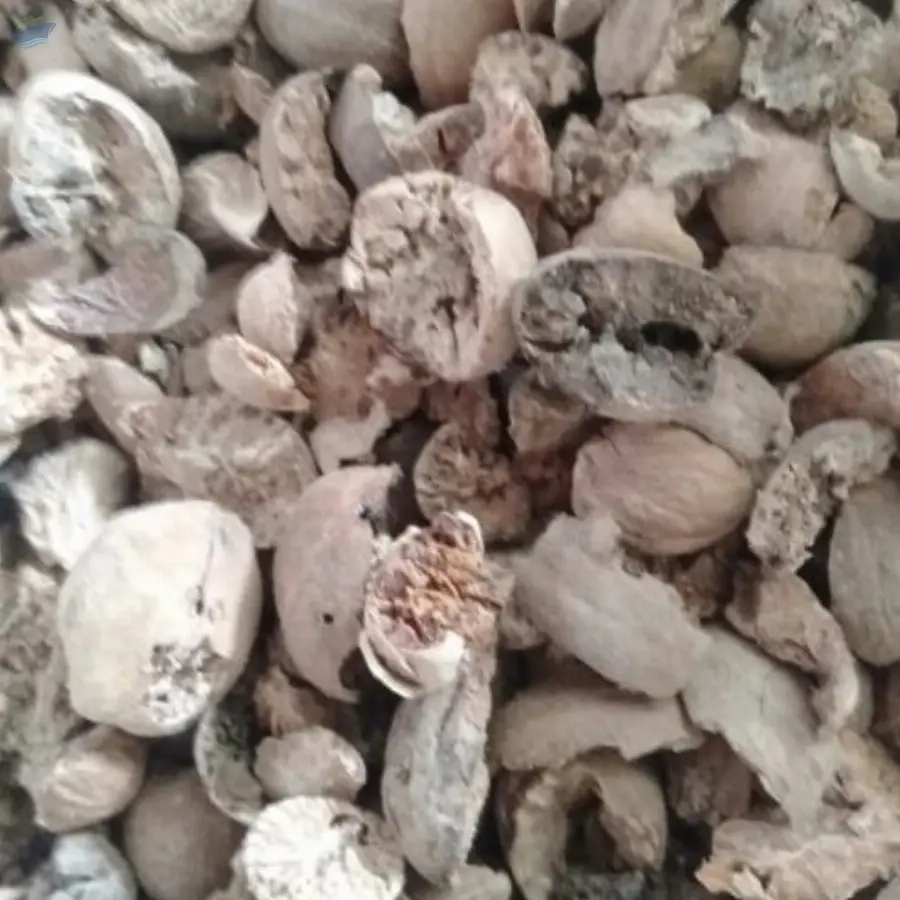 Nutmeg Broken/bwp by Star Laboratories. Supplier from Indonesia ...