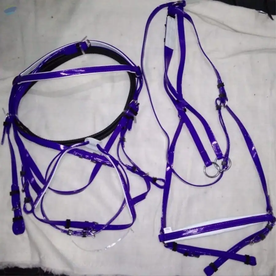 Pvc Riding Bridle Set With Breastplate by New Global Saddlery And ...