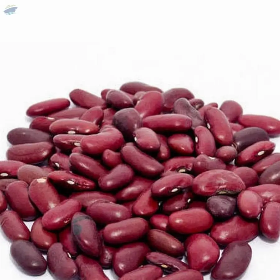 Red Kidney Beans by New Moon Family Company Limited. Supplier from ...