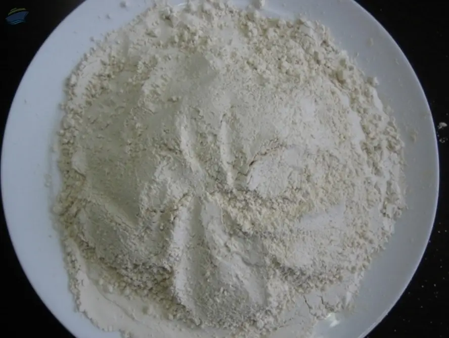 Garlic Powder by Linyi Ruiqiao Imp & Exp Co., Ltd.. Supplier from China ...