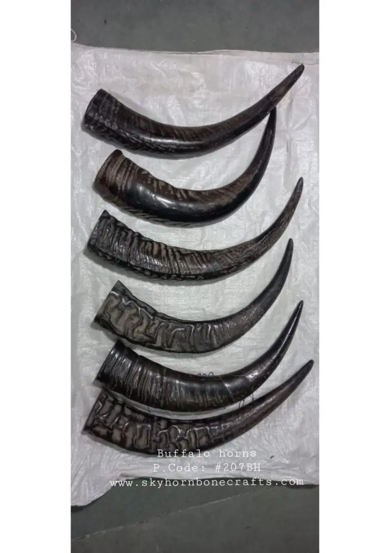 Buffalo Horn by Sky Horn Bone Crafts. Supplier from India. Product Id ...