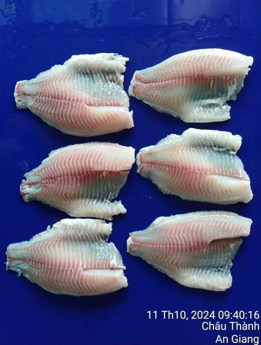 Red Tilapia Fillet by Huvy Export Import Co., Ltd.. Supplier from Viet ...