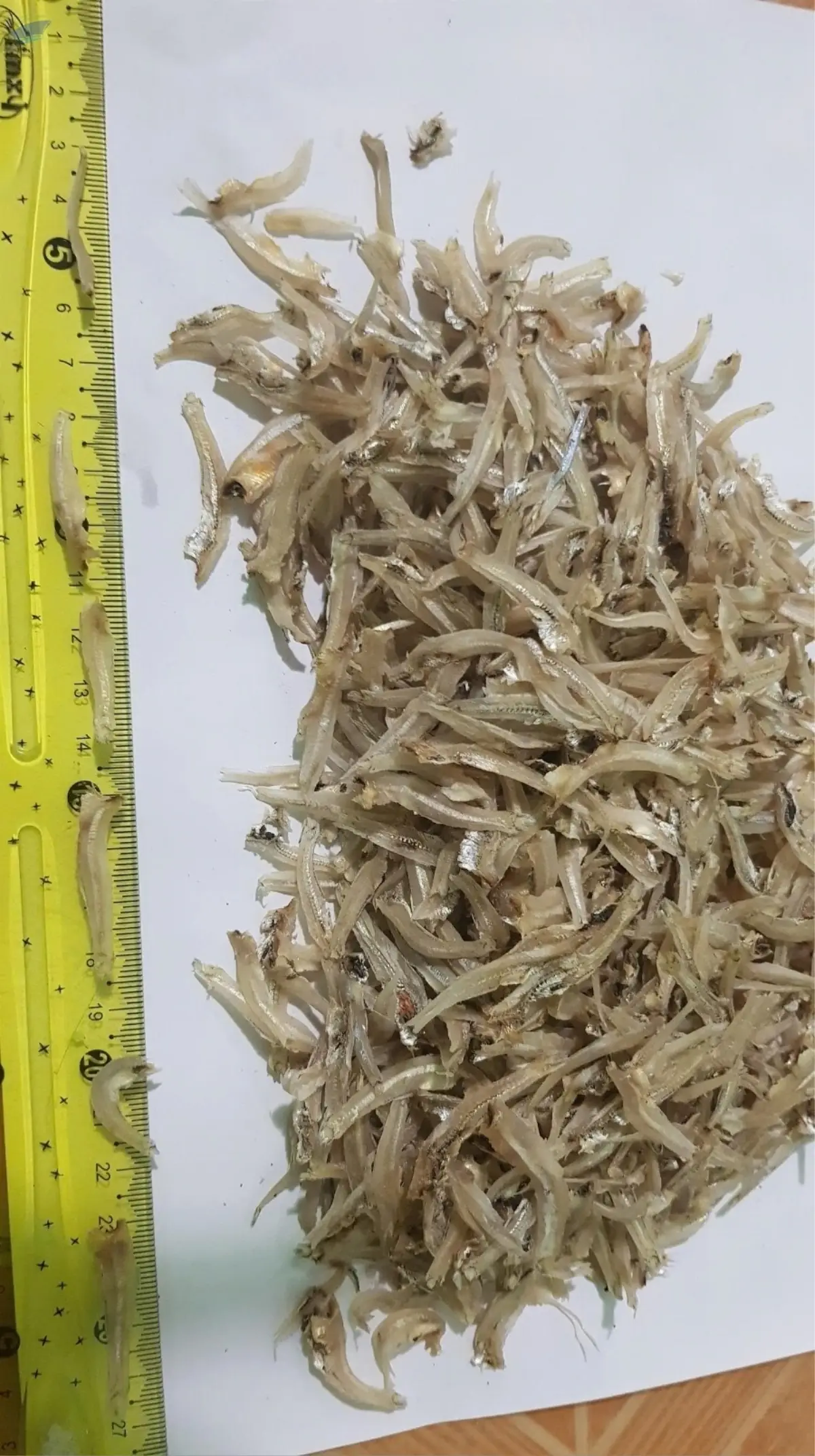 Split Dried Anchovy by Huvy Export Import Co., Ltd.. Supplier from Viet ...