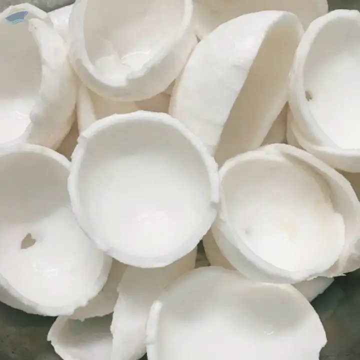 Premium Frozen Coconut Meat by 99 Gold Data Processing Trading Company ...