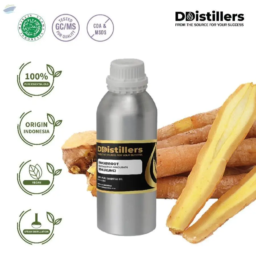 Fingerroot Essential Oil by PT. Syailendra Bumi Investama. Supplier ...