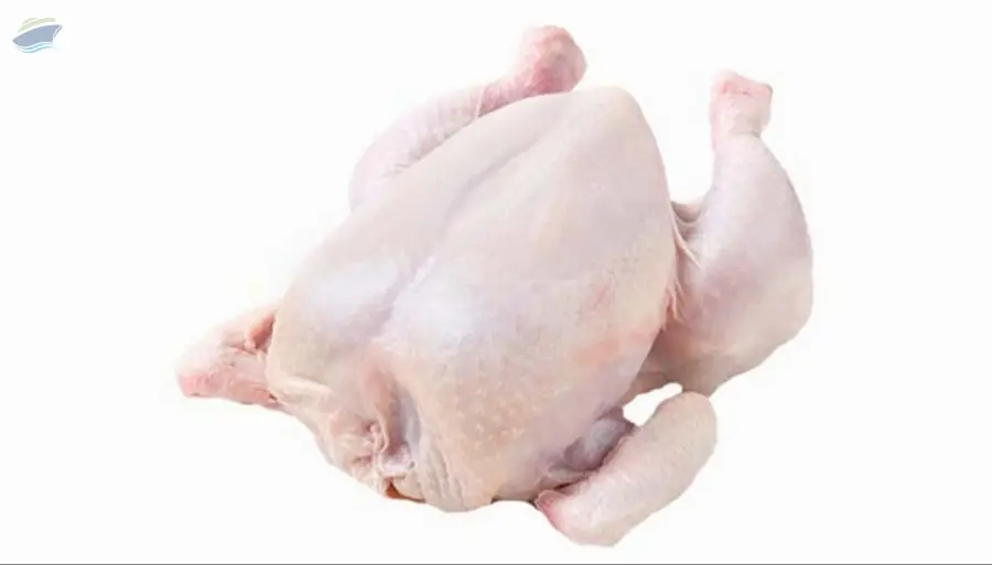 Frozen Whole Body Chicken by Maxxo Co., Ltd.. Supplier from Hong Kong ...