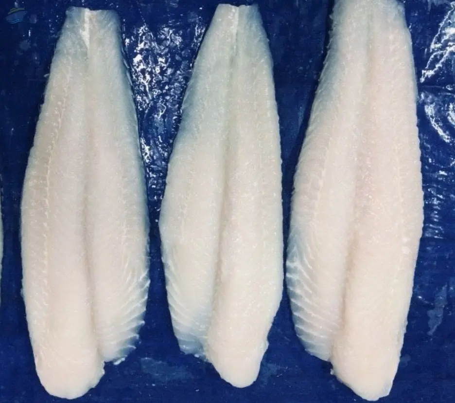 Frozen Pangasius Fillet by Eseafood Exports. Supplier from India ...