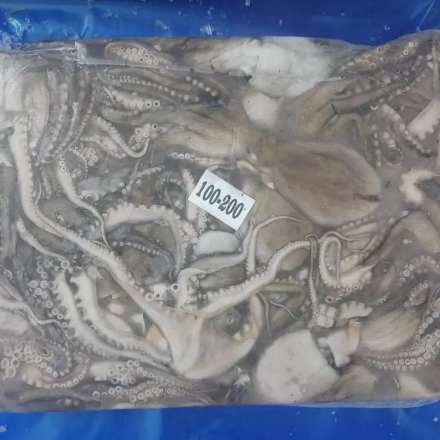 Octopus Short Arm by Eseafood Exports. Supplier from India. Product Id ...