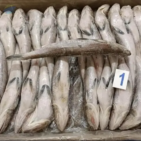 Frozen Lizard Fish by Eseafood Exports. Supplier from India. Product Id ...