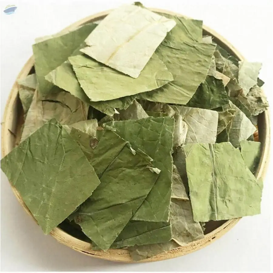 Dried Lotus Leaf by Eco Farmie Export Co., Ltd.. Supplier from Viet Nam ...