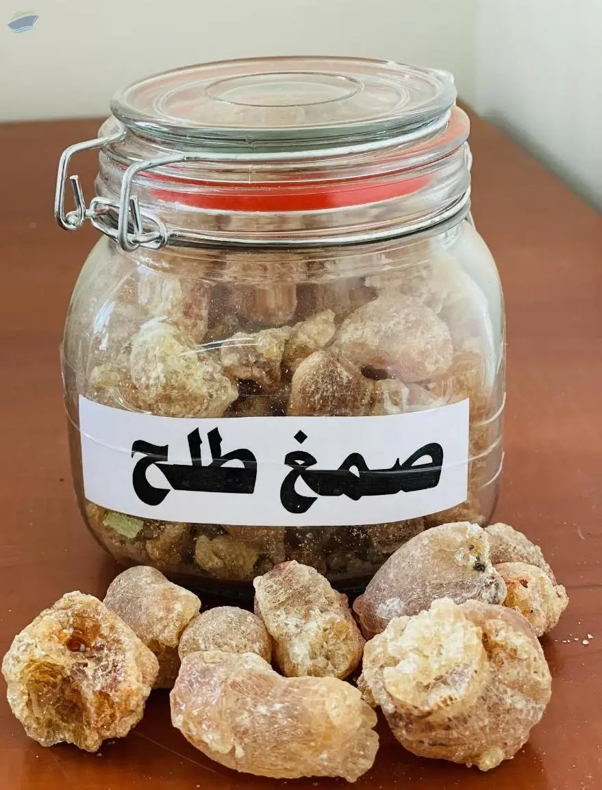 Sudanese Gum Arabic Talha by Medad International Co. Ltd. Supplier from ...