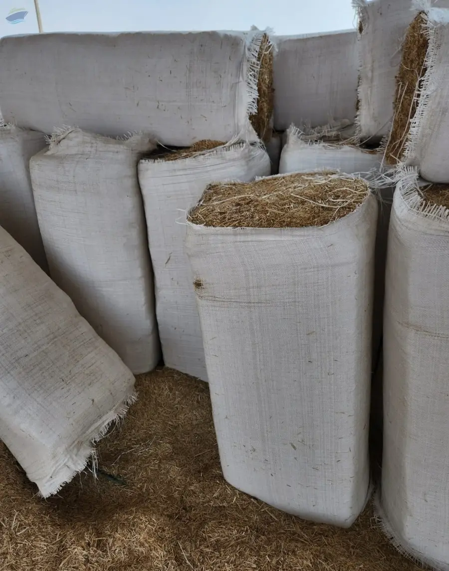 Wheat Husk by Saavaj Energy. Supplier from India. Product Id 1633666.