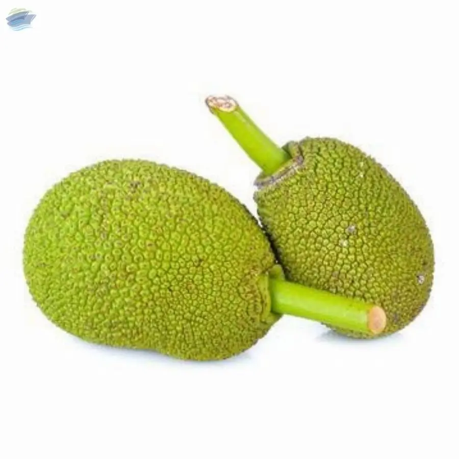 Fresh Vegetables From Sri Lanka by AMI Lanka (Pvt) Limited. Supplier ...