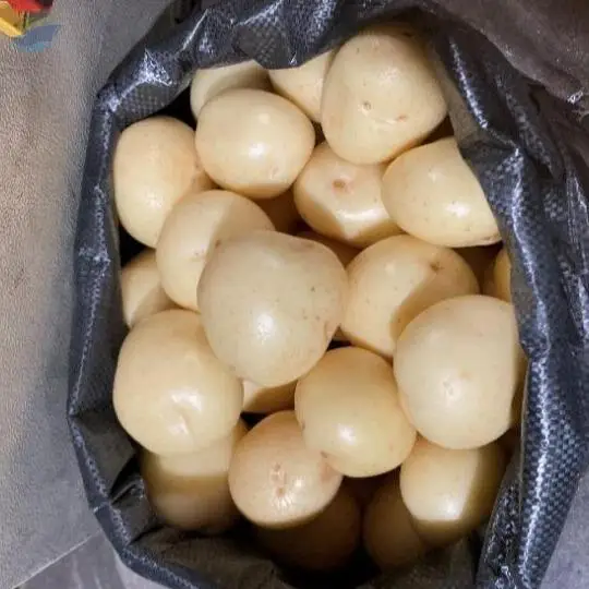 Premium White Washed Potatoes by Virginia Farm Produce. Supplier from ...