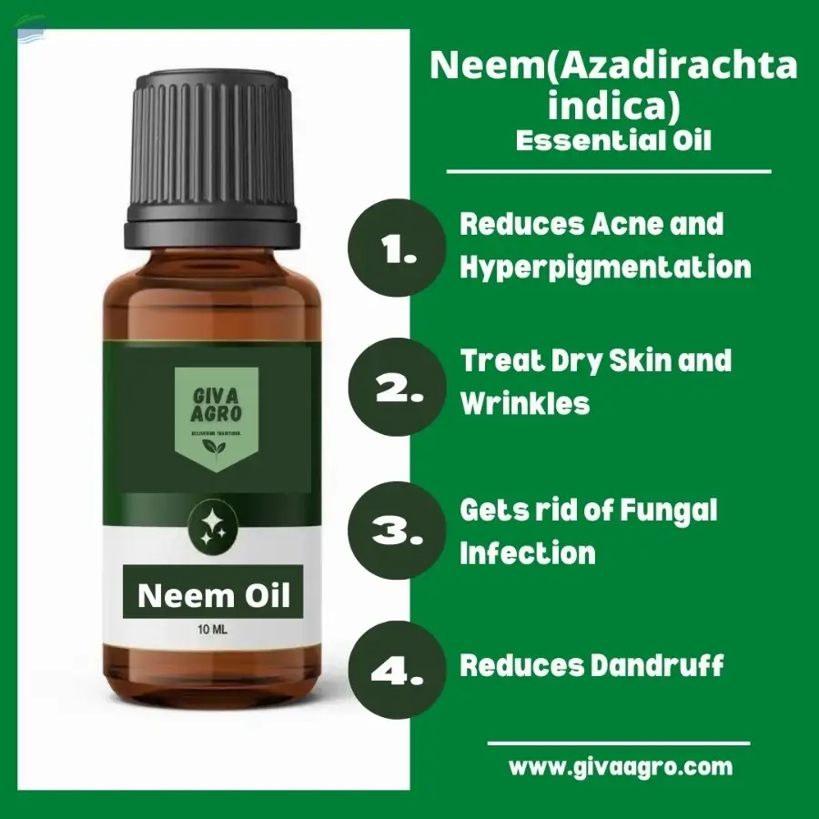 Neem Oil by Giva Agro. Supplier from India. Product Id 1619848.