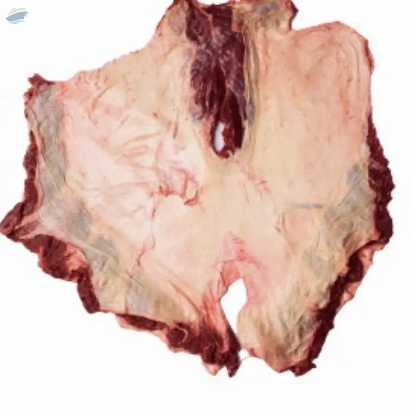 Fresh Beef Dia Membrane by Pixon Overseas. Supplier from India. Product ...