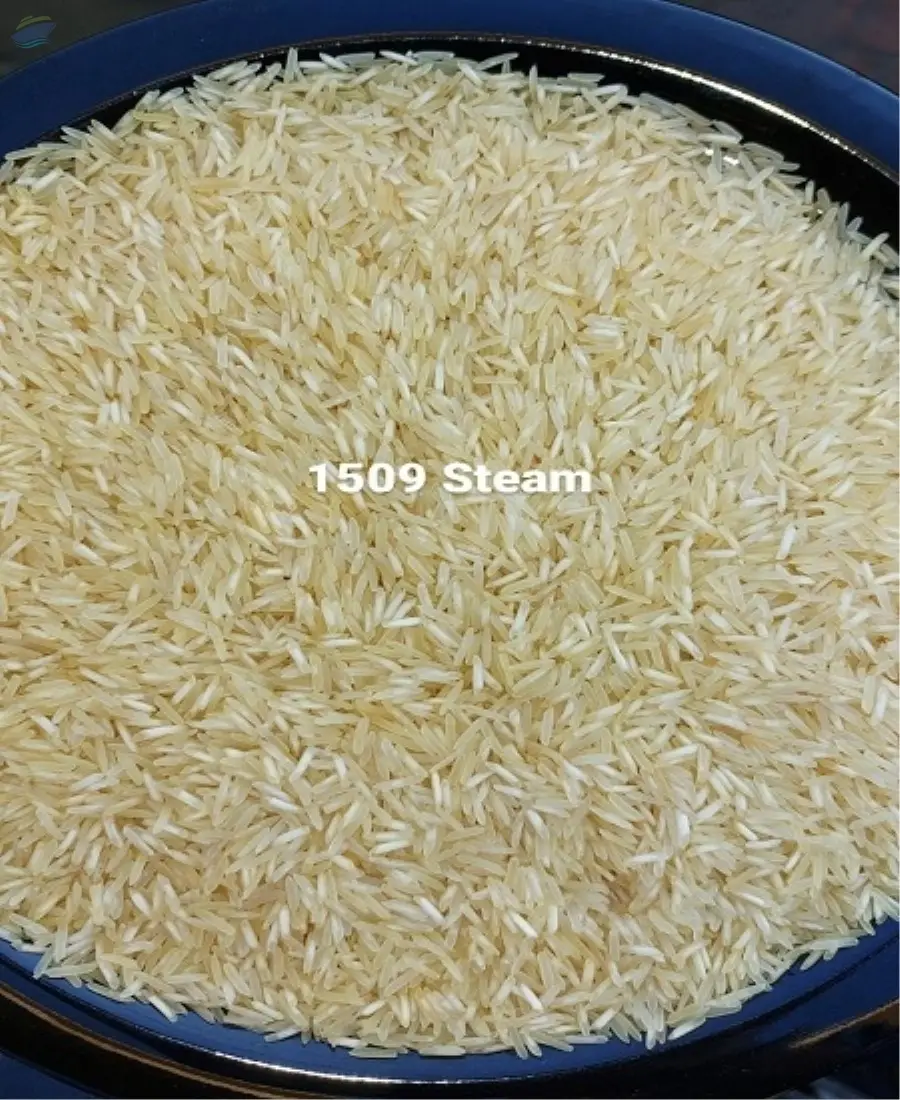 1509 Steam Basmati Rice by Pixon Overseas. Supplier from India. Product ...