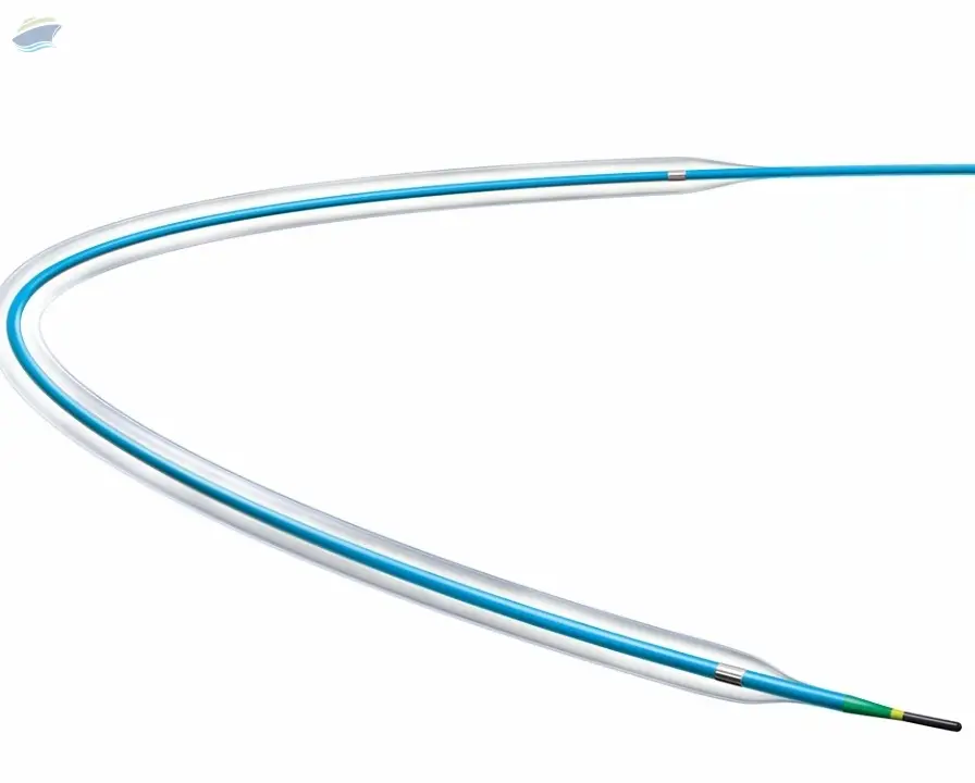 Es Over-The-Wire Balloon Dilatation Catheter by USA Med Premium ...