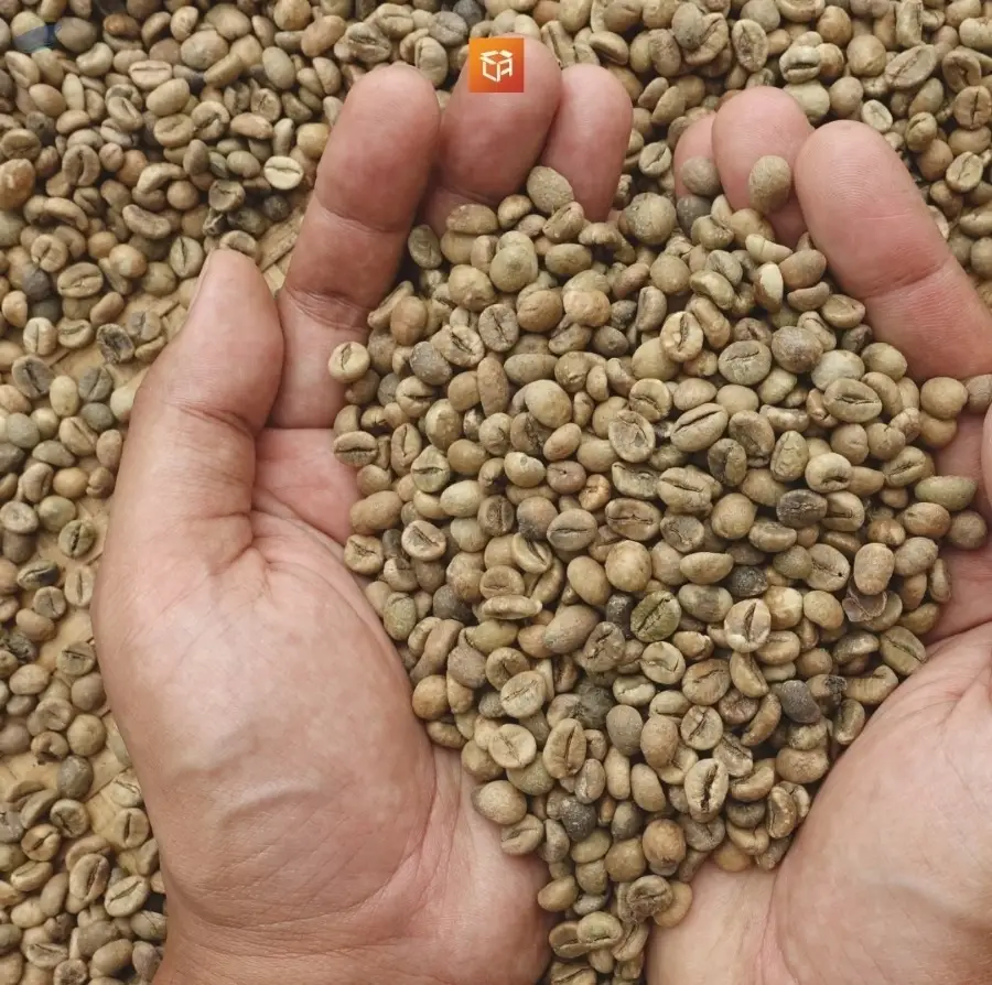 Robusta Coffee Beans Wp Grade 1 S by PT Exim Jaya Abadi. Supplier from ...