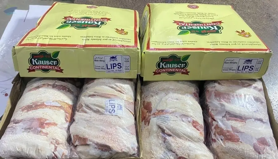 Kauser Continental (Buffalo Lips/papillae) by Kauser Impex ...