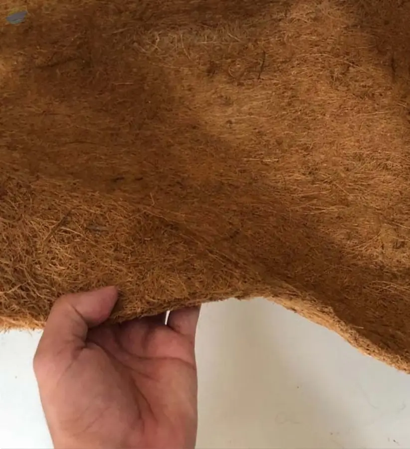 Coco Sheet by PT D & W Internasional. Supplier from Indonesia. Product ...