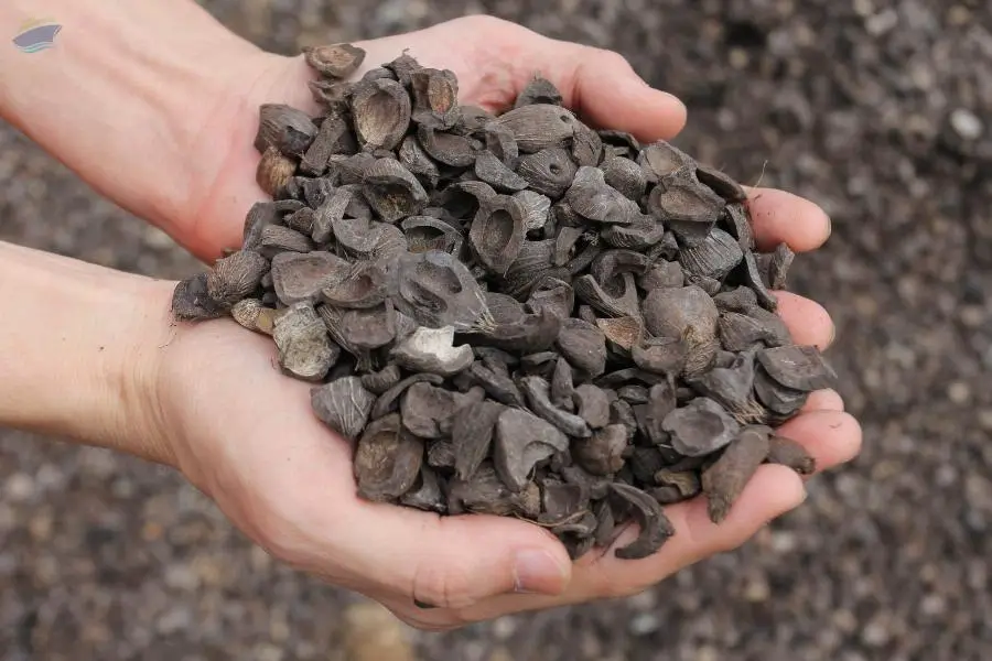 Palm Kernel Shell by PT. Adarista Amita Sintesa. Supplier from ...