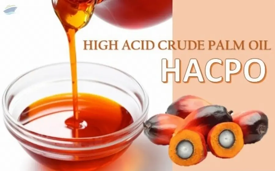 High Acid Crude Palm Oil Hacpo by PT. Adarista Amita Sintesa. Supplier ...