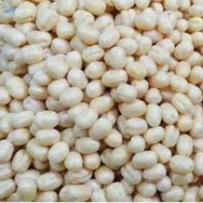 White/split/dhuli Urad Dal by International Tractors Limited. Supplier ...