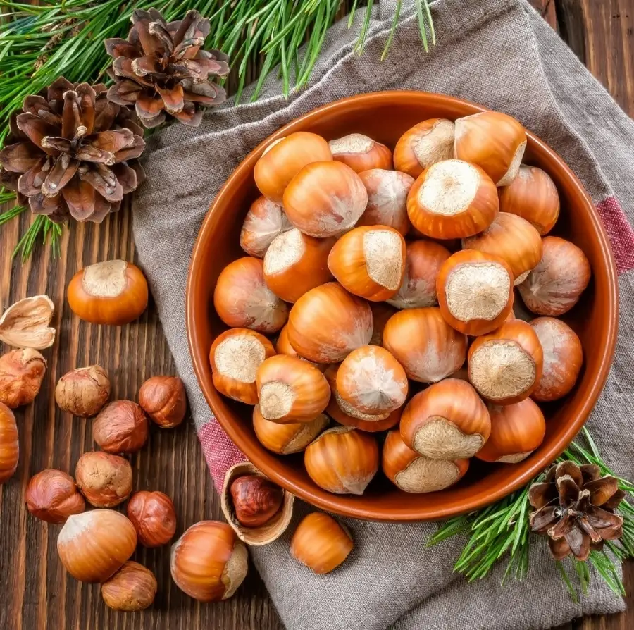 Turkish Hazelnut by MMY Ic Ve Dis Ticaret-mustafa Mert Yilmaz. Supplier ...