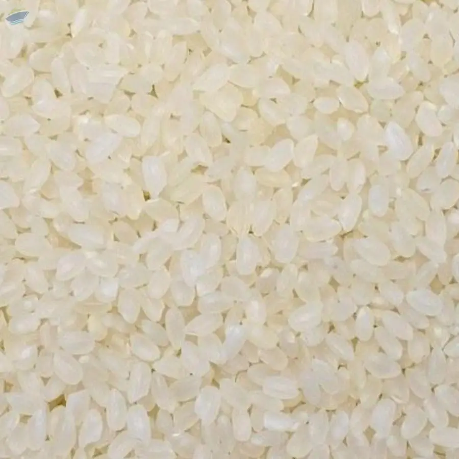Rice by Agrotrakia International Trade OOD. Supplier from Bulgaria ...