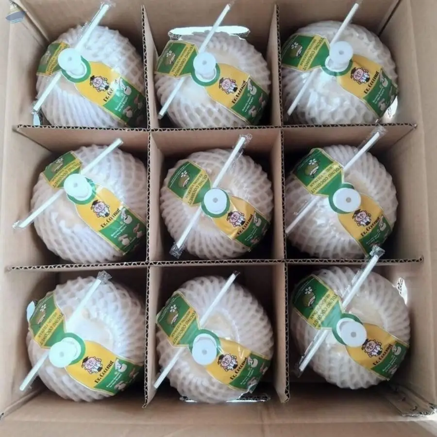 Vietnam Fresh Young Coconut by Tanis Imex Co. Ltd. Supplier from Viet ...