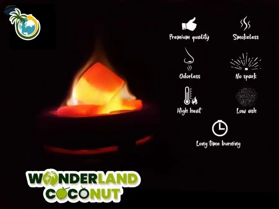 Coconut Shisha Charcoal Coal Briquettes Hookah by PT. Wonderland ...