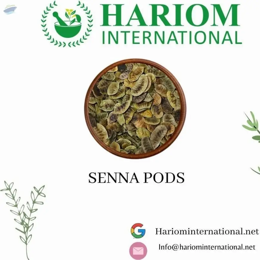 Senna Pods by Hariom International. Supplier from India. Product Id ...