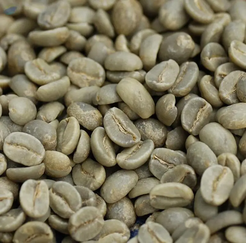 Green Coffee Beans by Angaza Foods Limited. Supplier from Kenya ...
