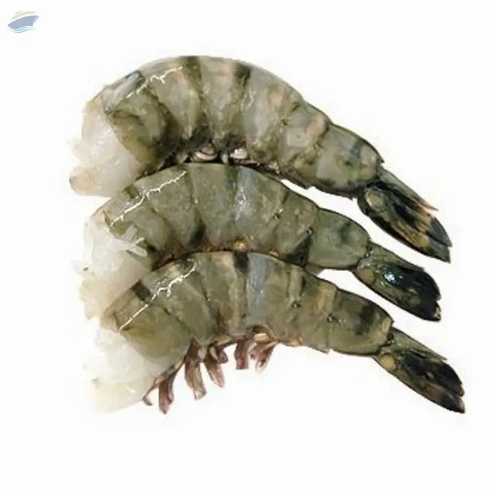 Tiger Shrimp by PT. Tomo Trading Indonesia. Supplier from Indonesia ...