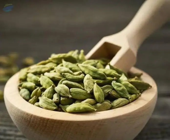 Green Cardamom by The Kisan Fresh International. Supplier from India ...