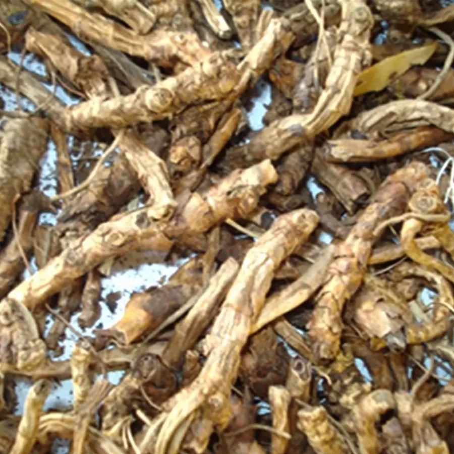 Small Bitter Root by Bhutan Herb Exporter. Supplier from Bhutan ...