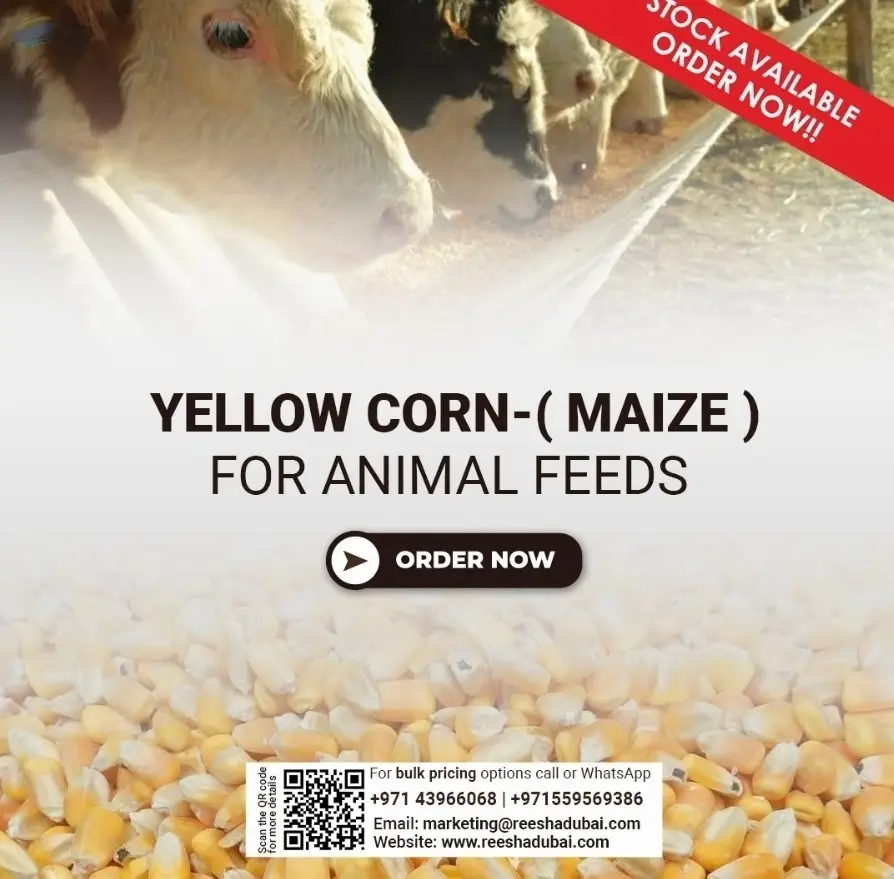 Animal Feeds - Reesha by Reesha General Trading LLC. Supplier from ...