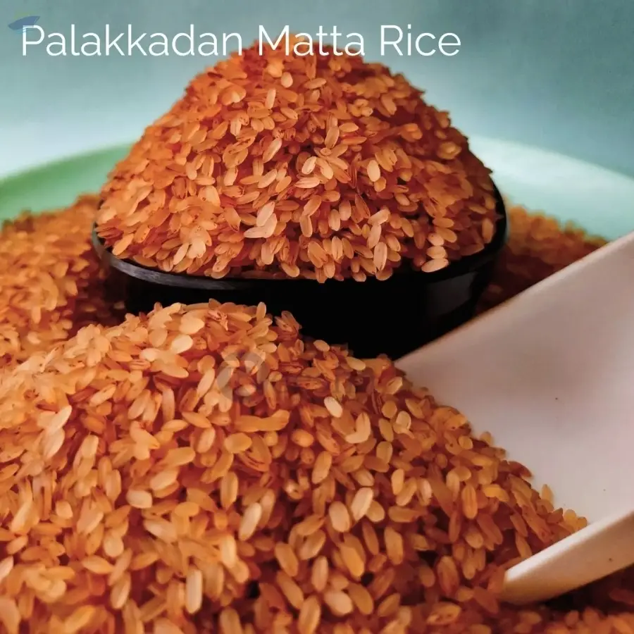 Premium Palakkadan Matta Rice With Reesha by Reesha General Trading LLC ...