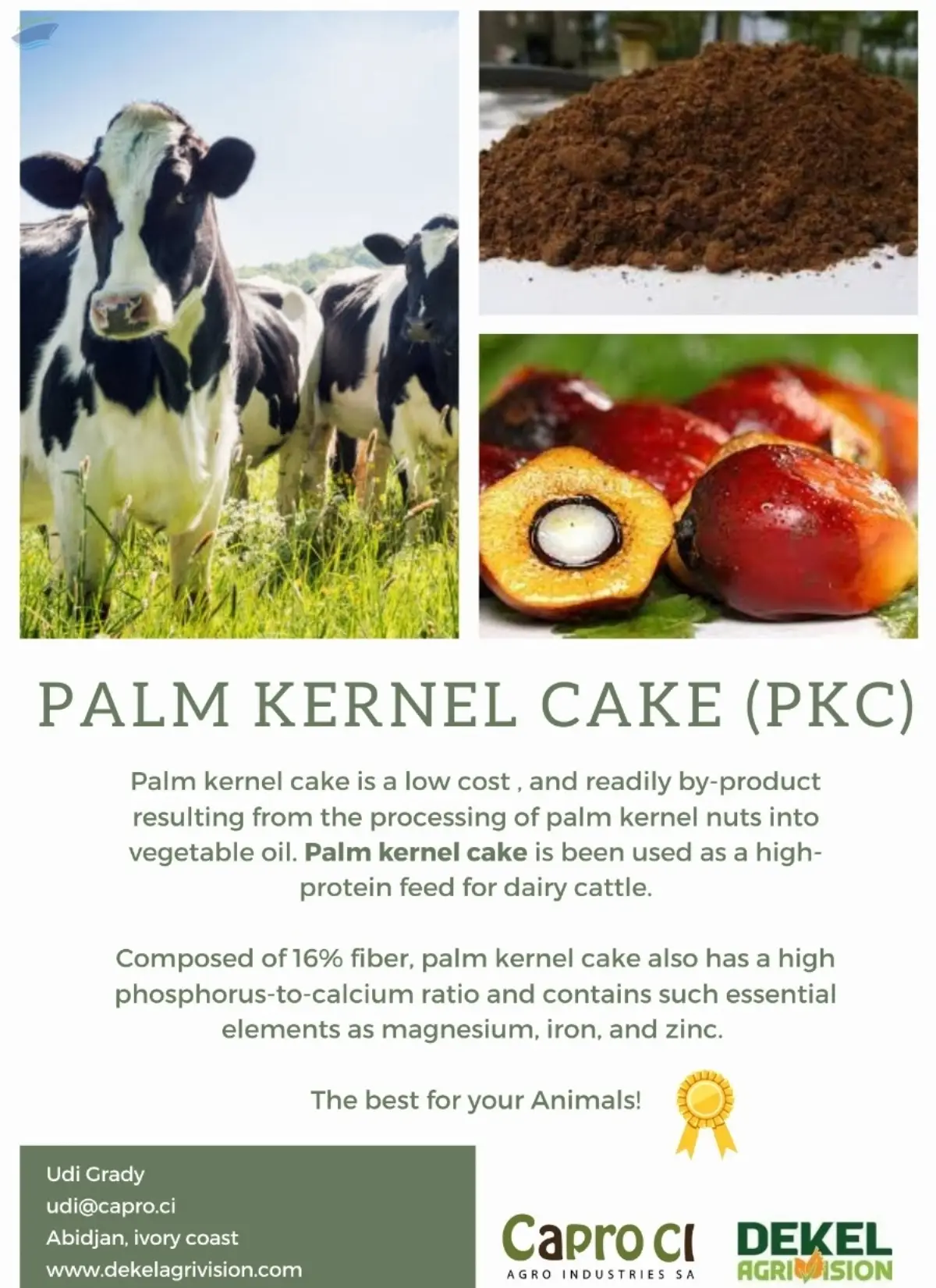 Palm Kernel Cake /expeller by Capro Ci Sa. Supplier from Cote D'ivoire ...