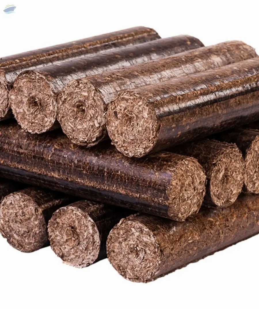 Biofuel Briquettes by Raak Biocorp (Gita Group). Supplier from India ...