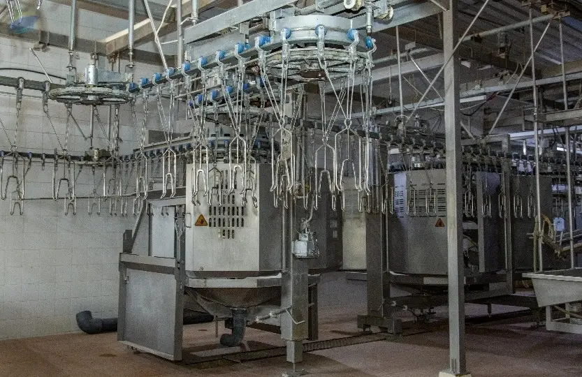 Automatic Chicken Slaughtering Plant by Ras Al Khaimah Poultry And ...