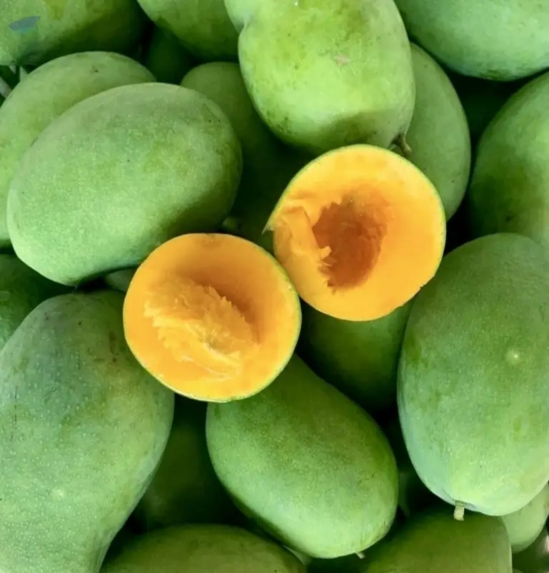 Arumanis Mango by Niaga Buah Nusantara. Supplier from Indonesia ...