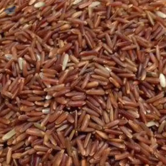Red Hom Mali Rice by K.P. Green Co. Ltd.. Supplier from Thailand ...