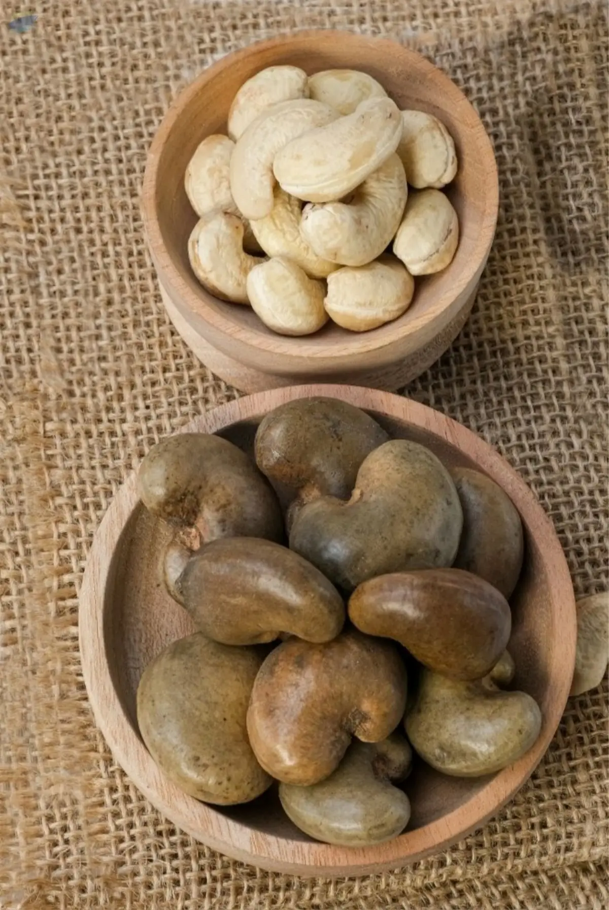 Cashew Nut by PT Agra Berkat Semesta. Supplier from Indonesia. Product ...