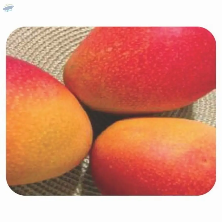 Apple Mangoes by Masedi Limited. Supplier from Kenya. Product Id 1524077.